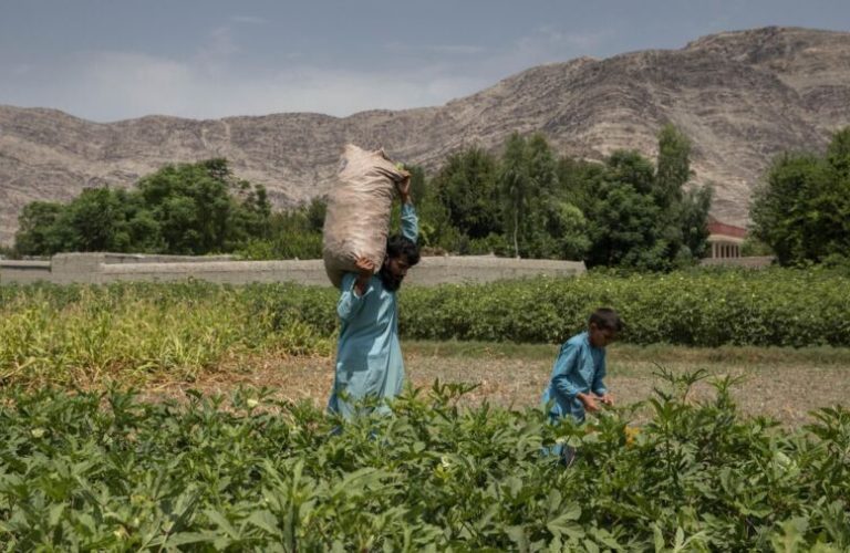 Aid not reaching to the needy, says Faryab farmers - Salam Watandar