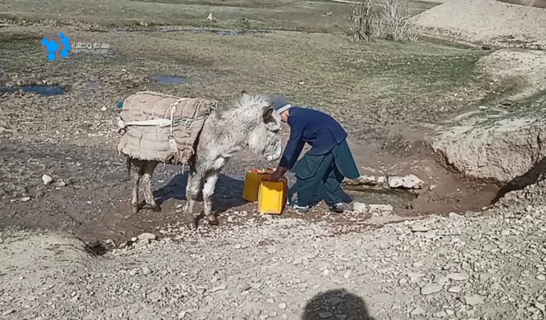 Ghor residents getting sick due to drinking water issues - Salam Watandar