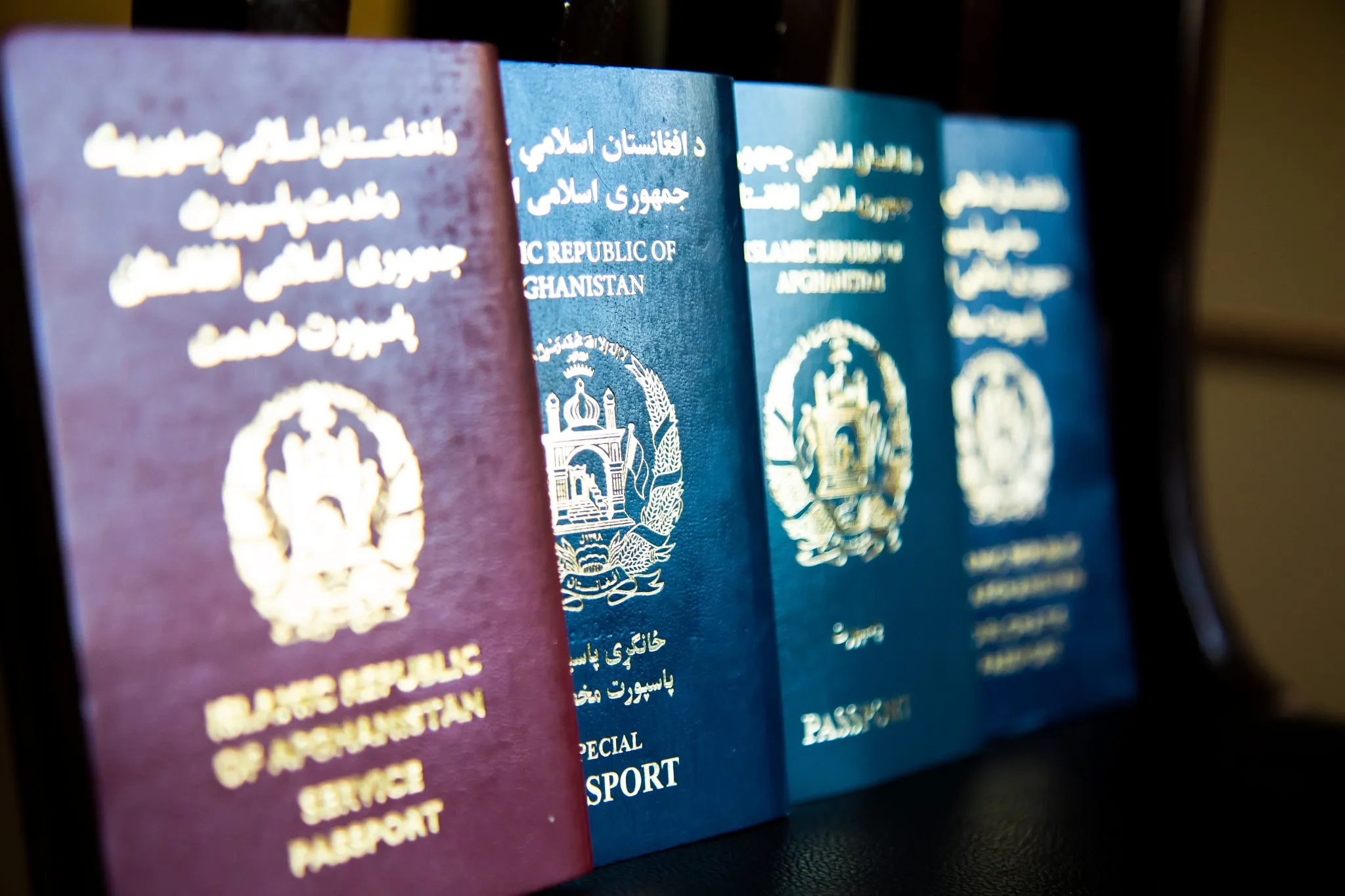 Afghanistan’s passport issuance hits 12,000 daily, officials announce ...