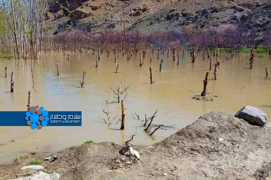 میدان‌وردګ کې سېلابونو ۴۰۰ جریبه کرنیز فصلونه له‌منځه وړي - SALAM WATANDAR